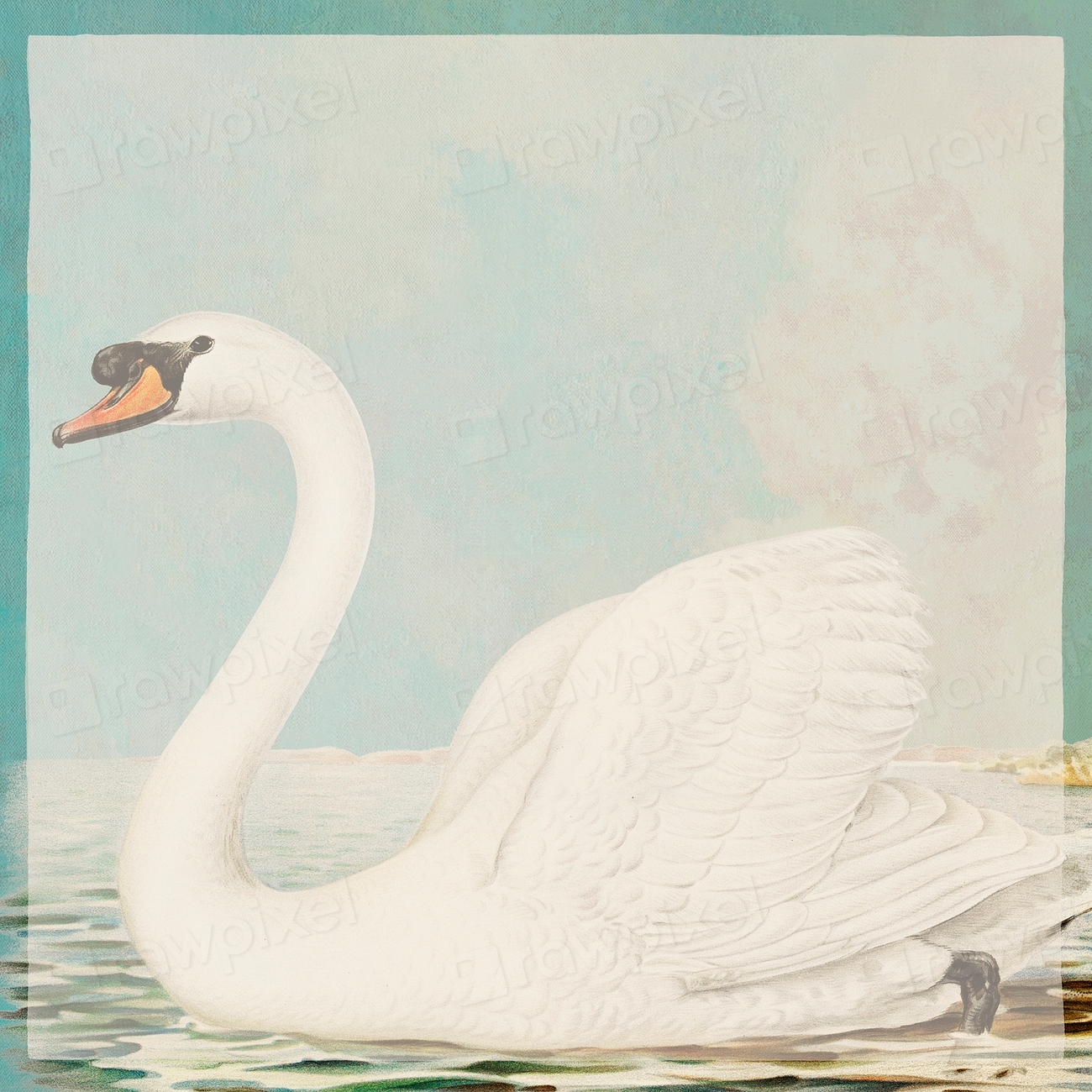 Swan frame png vintage detailed | Premium PSD - rawpixel