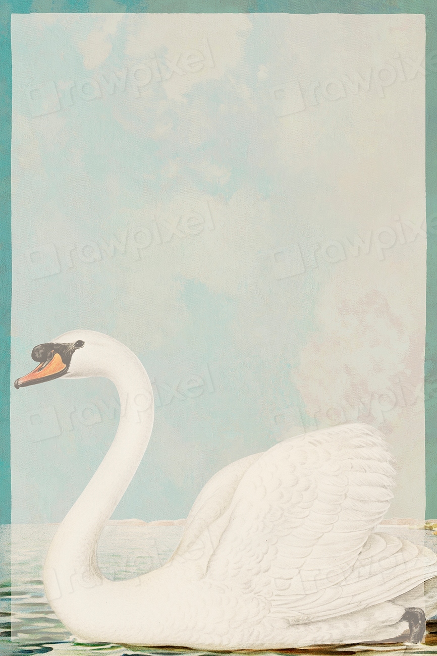 Swan frame psd vintage detailed | Premium PSD - rawpixel