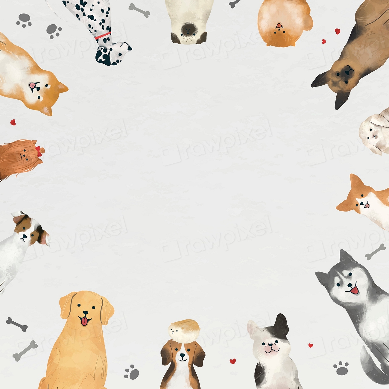 Frame with dogs vector on white | Premium Vector - rawpixel