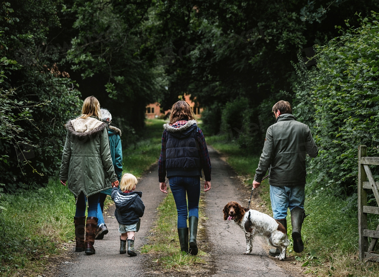 Rear view family walking together | Premium Photo - rawpixel