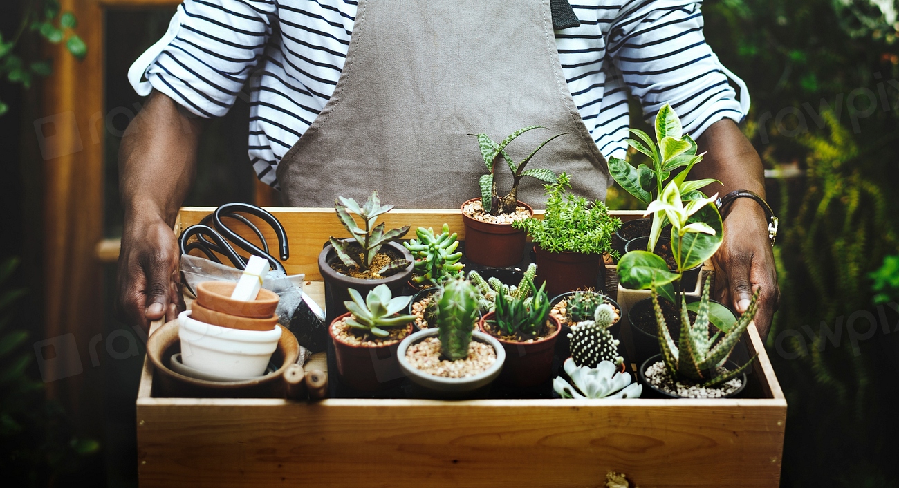 Plant Green Growth Gardening Botany | Premium Photo - rawpixel