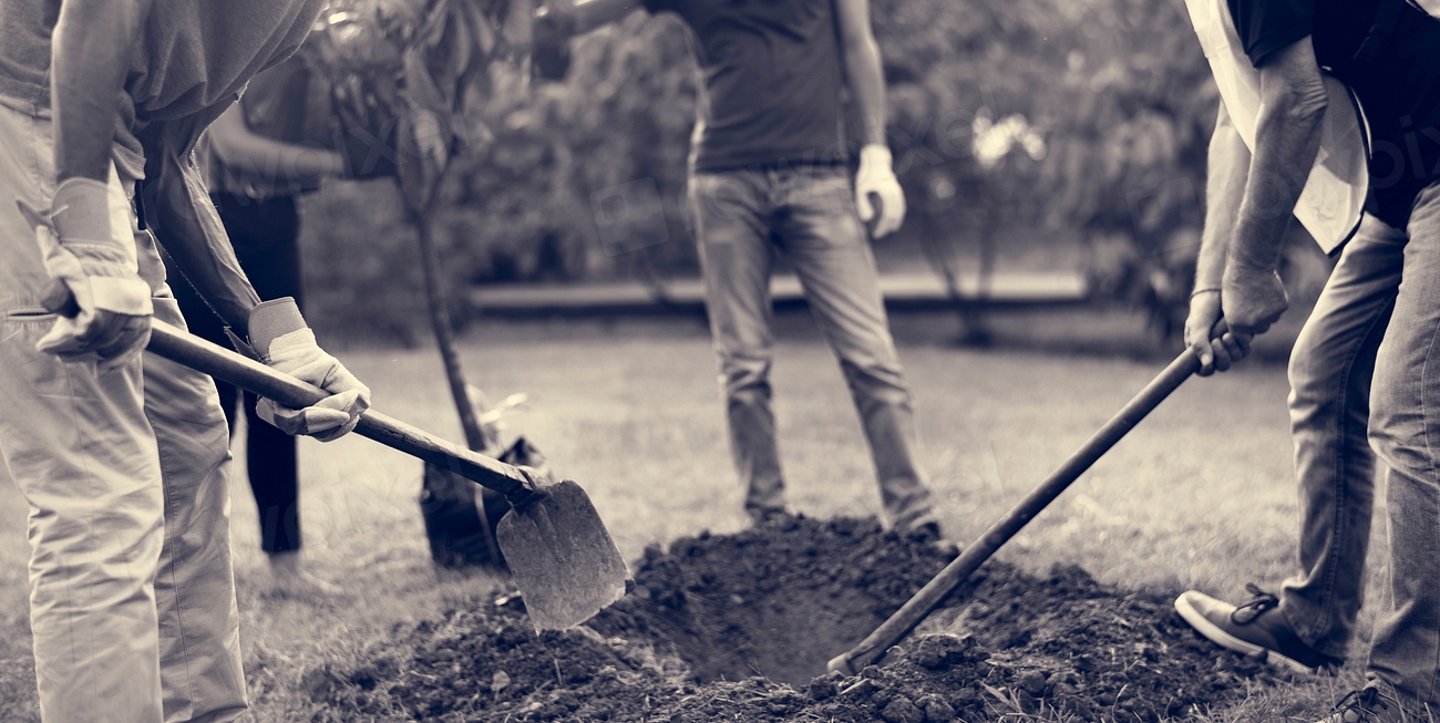 Group of Diverse People Digging | Premium Photo - rawpixel