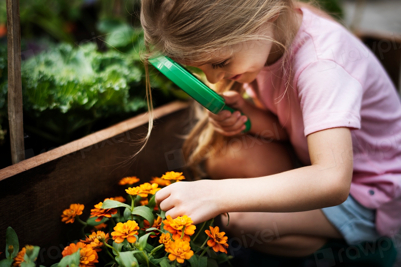 Little girl observing the flowers | Free Photo - rawpixel