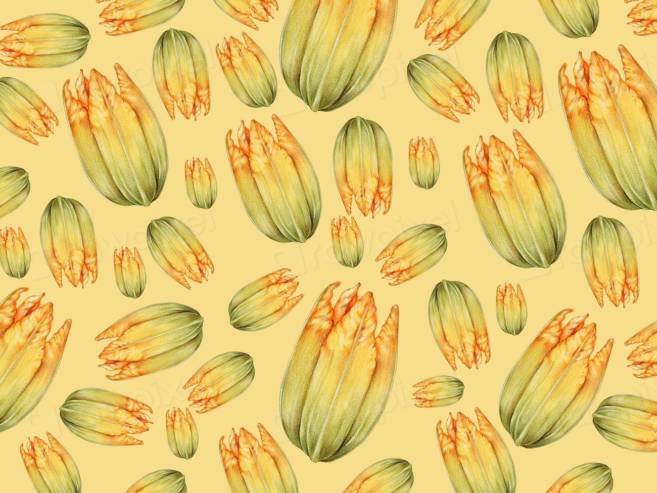 Hand drawn squash blossom patterned | Free Photo - rawpixel