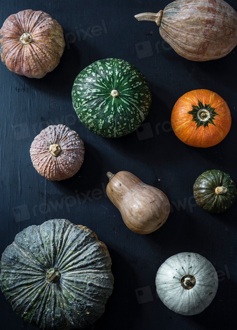 Aerial view diverse fresh pumpkins | Premium Photo - rawpixel