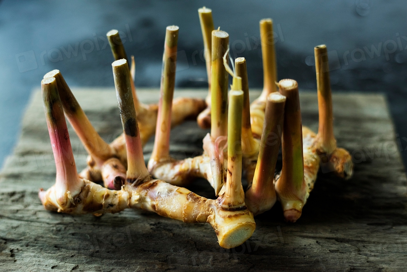Fresh galangal asian cooking ingredient | Premium Photo - rawpixel