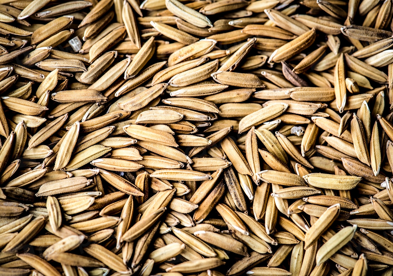 Closeup of unmilled rice grains | Premium Photo - rawpixel