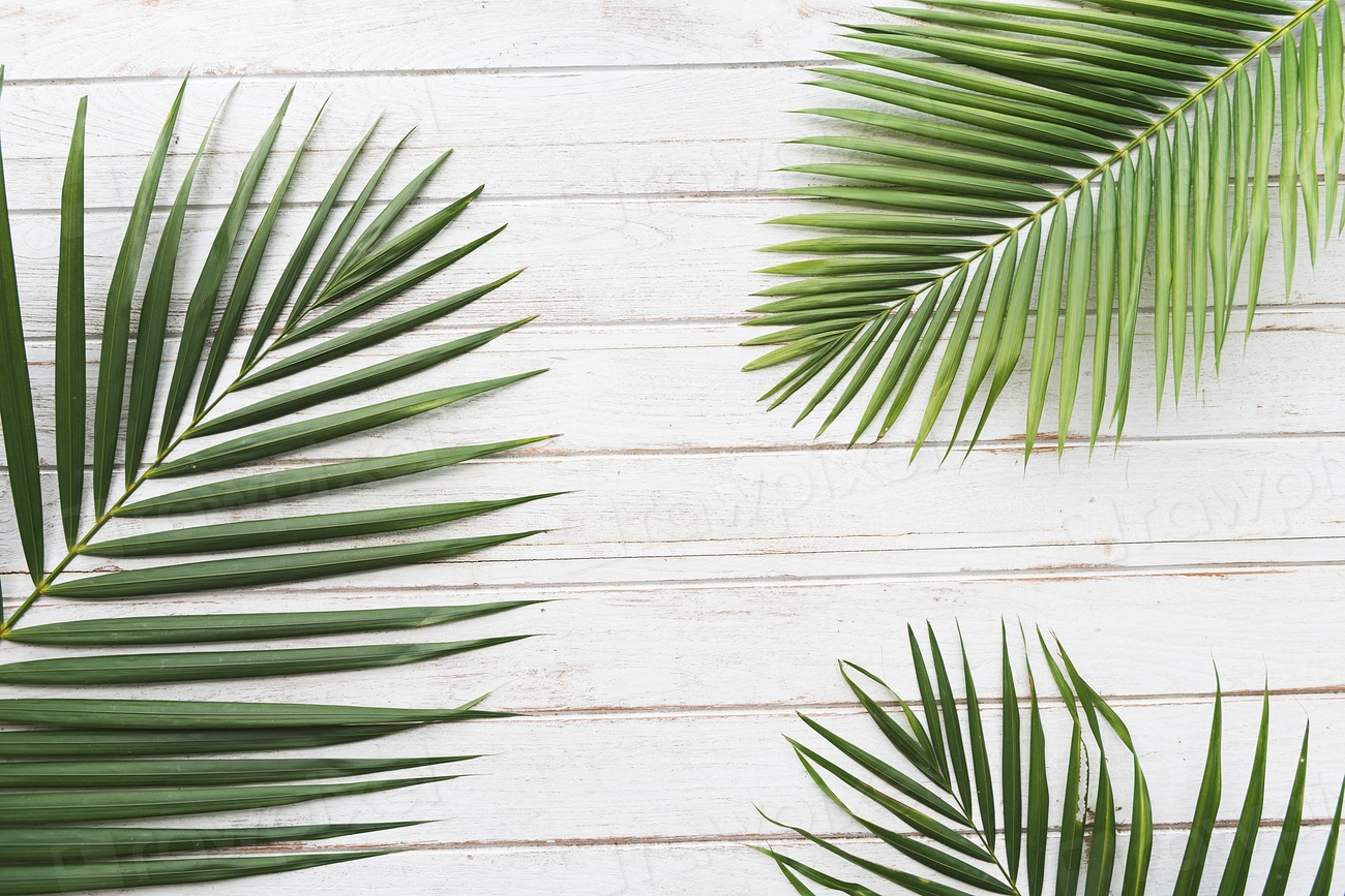 Beautiful greenery | Premium Photo - rawpixel