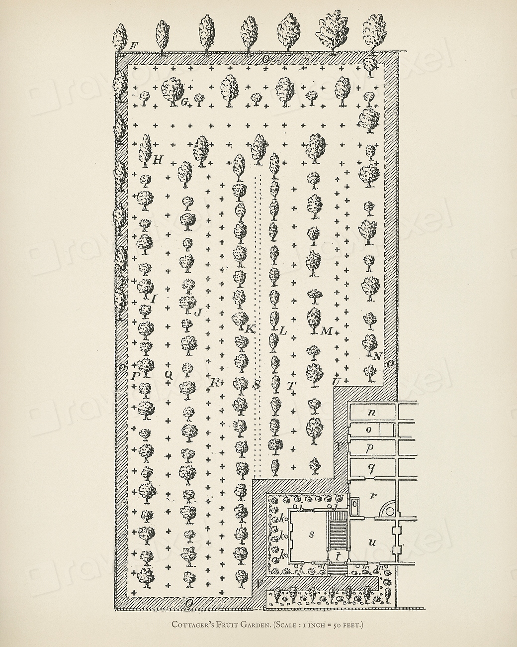 The fruit grower's guide : | Premium PSD Illustration - rawpixel