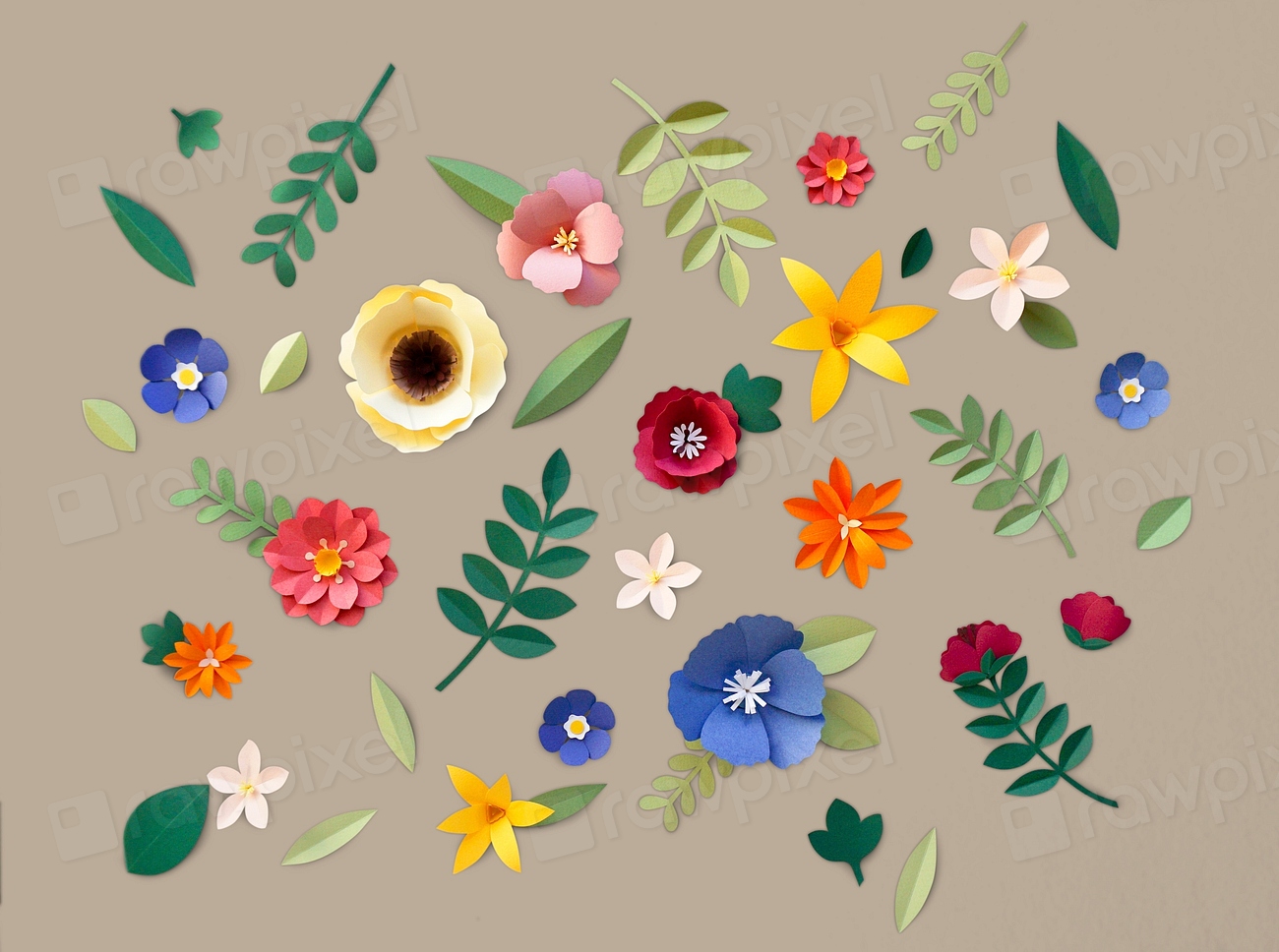 Flower Plant Floral Nature Designs | Premium Photo - rawpixel