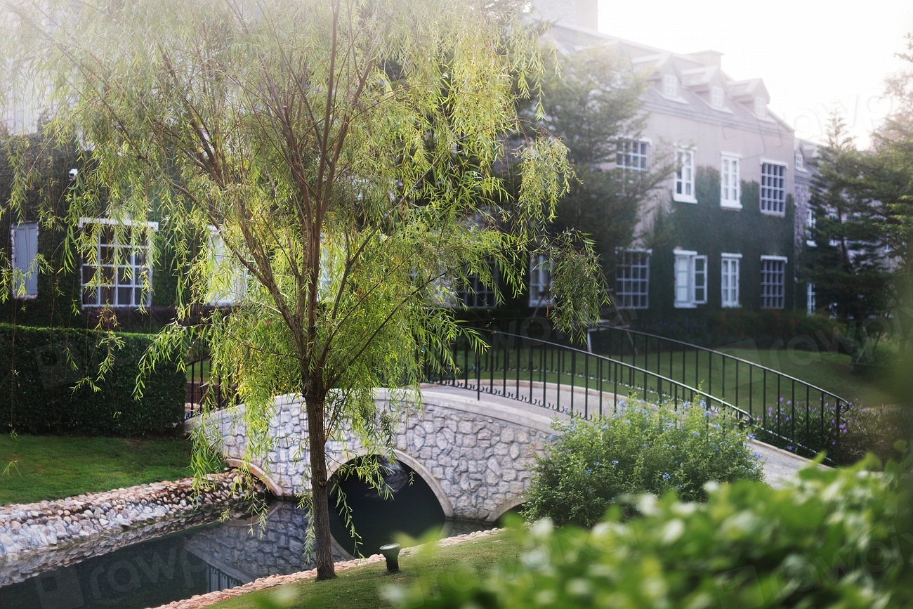 Suburban housing | Premium Photo - rawpixel