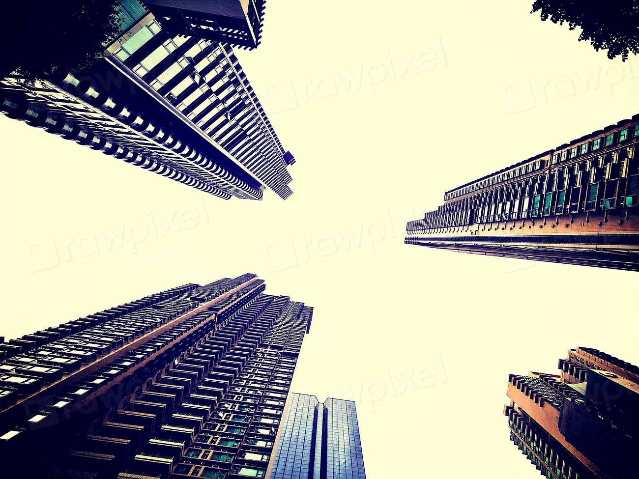 Business Skyscapers Buildings Bottom Up | Free Photo - rawpixel
