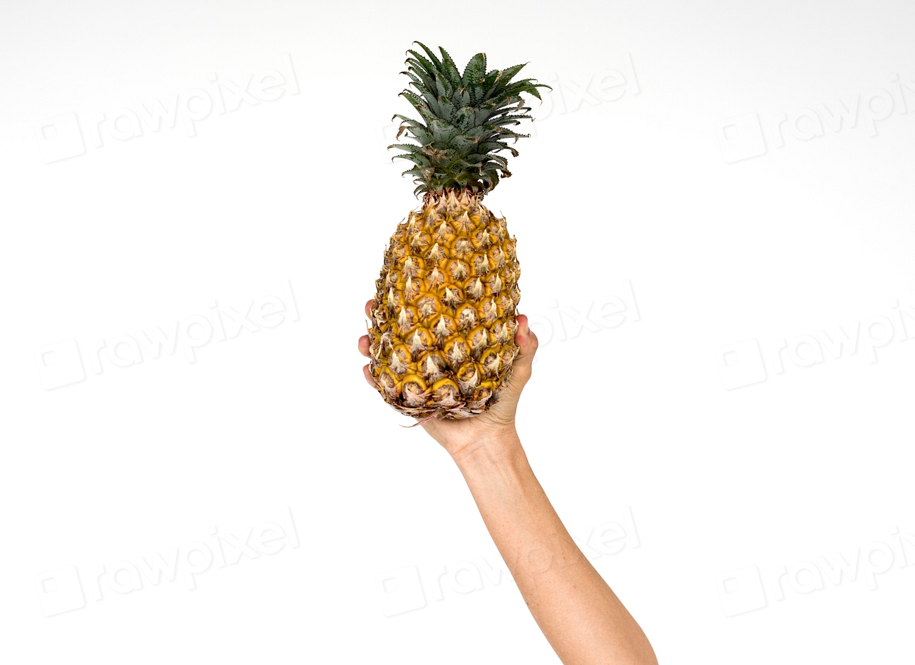 Human Hand Holding Pineapple Fruit | Premium Photo - rawpixel