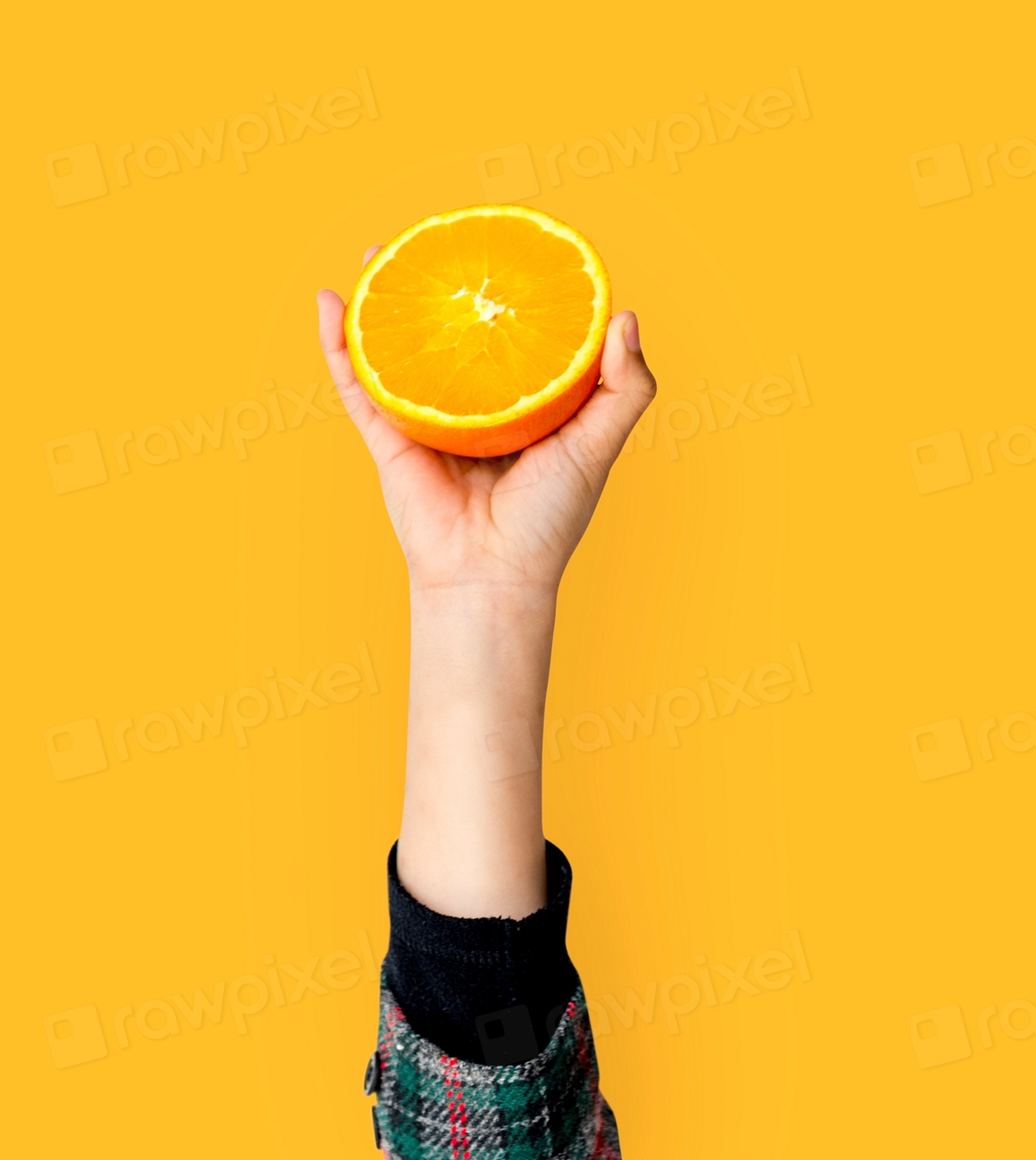 Hand Holding Orange Isolated Concept | Premium Photo - rawpixel