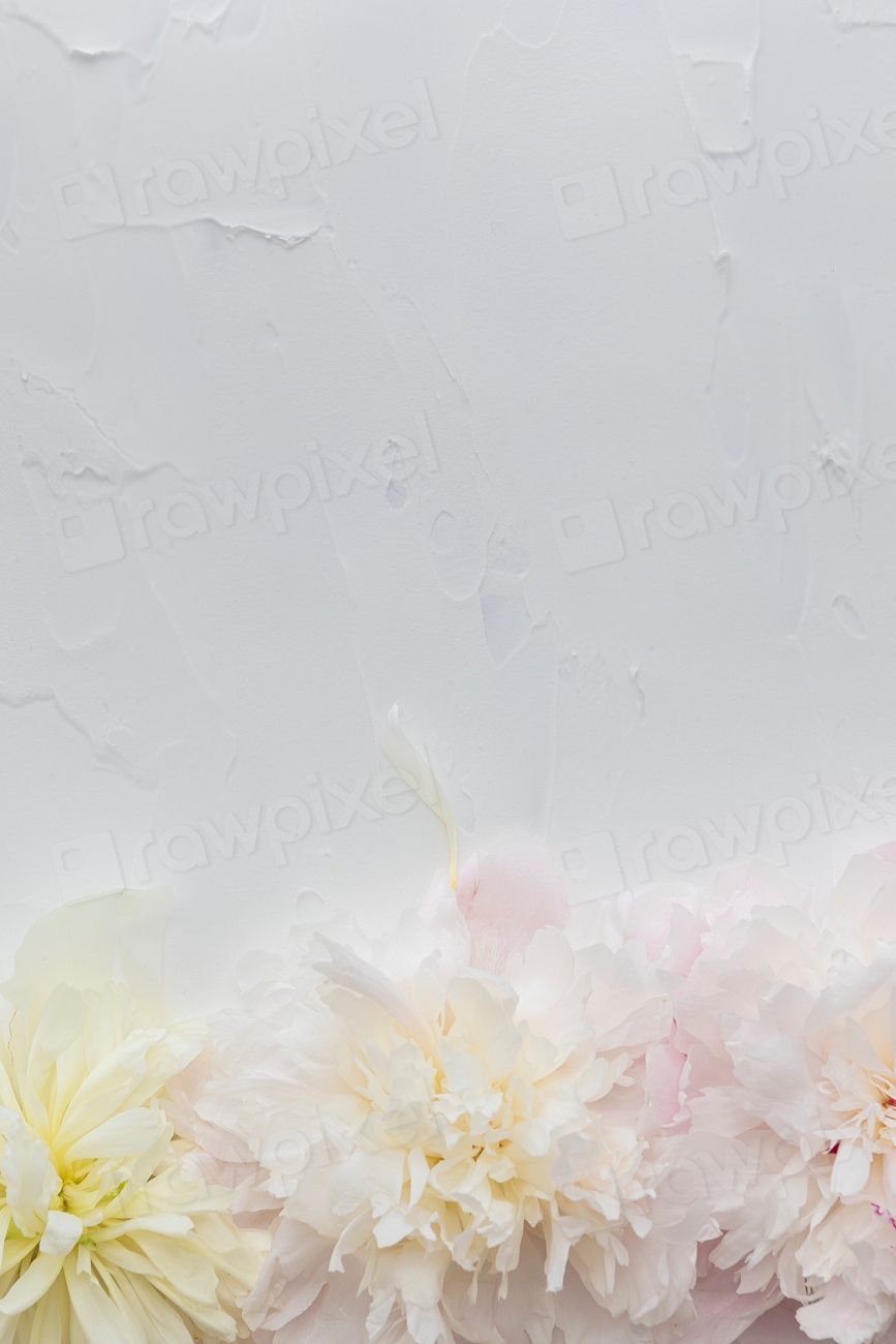 Blank beautiful flowers frame design | Premium Photo - rawpixel