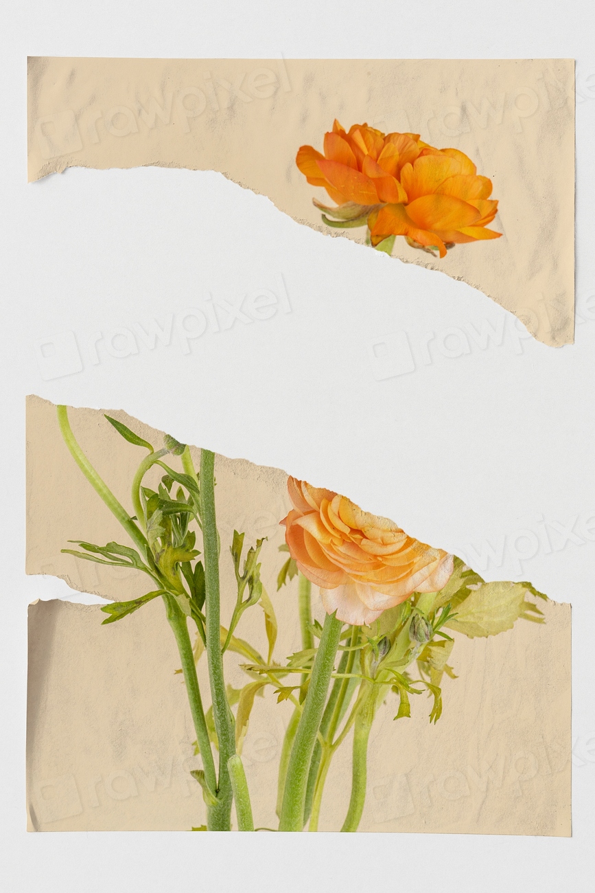Torn flower poster mockup wall | Premium PSD Mockup - rawpixel