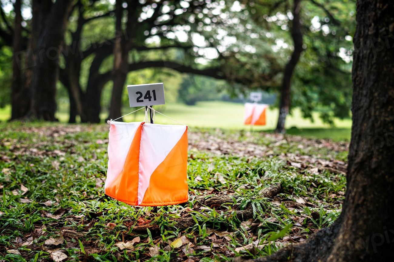 Orienteering box in a forest | Premium Photo - rawpixel