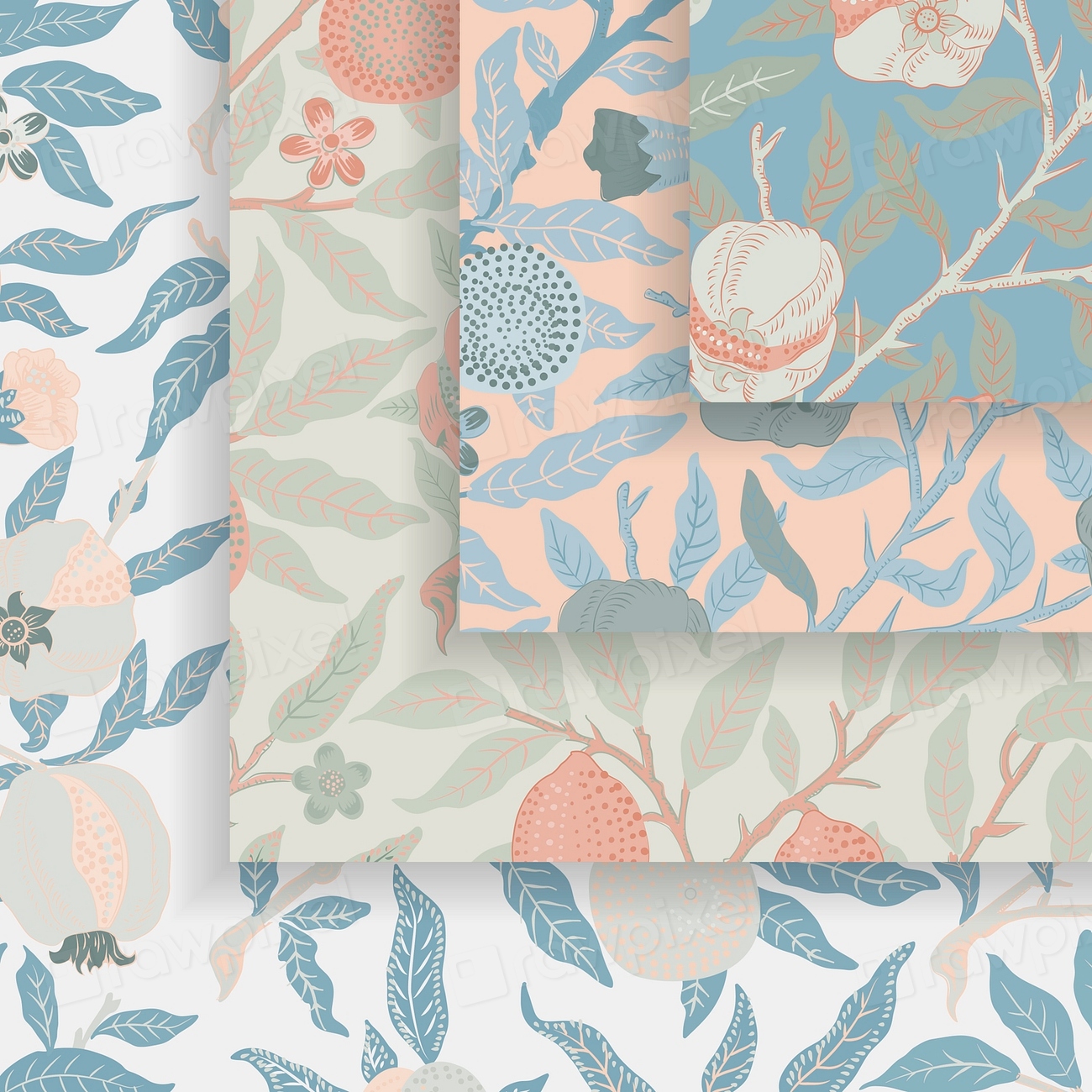 Vintage Illustration of Fruit or | Premium Vector - rawpixel