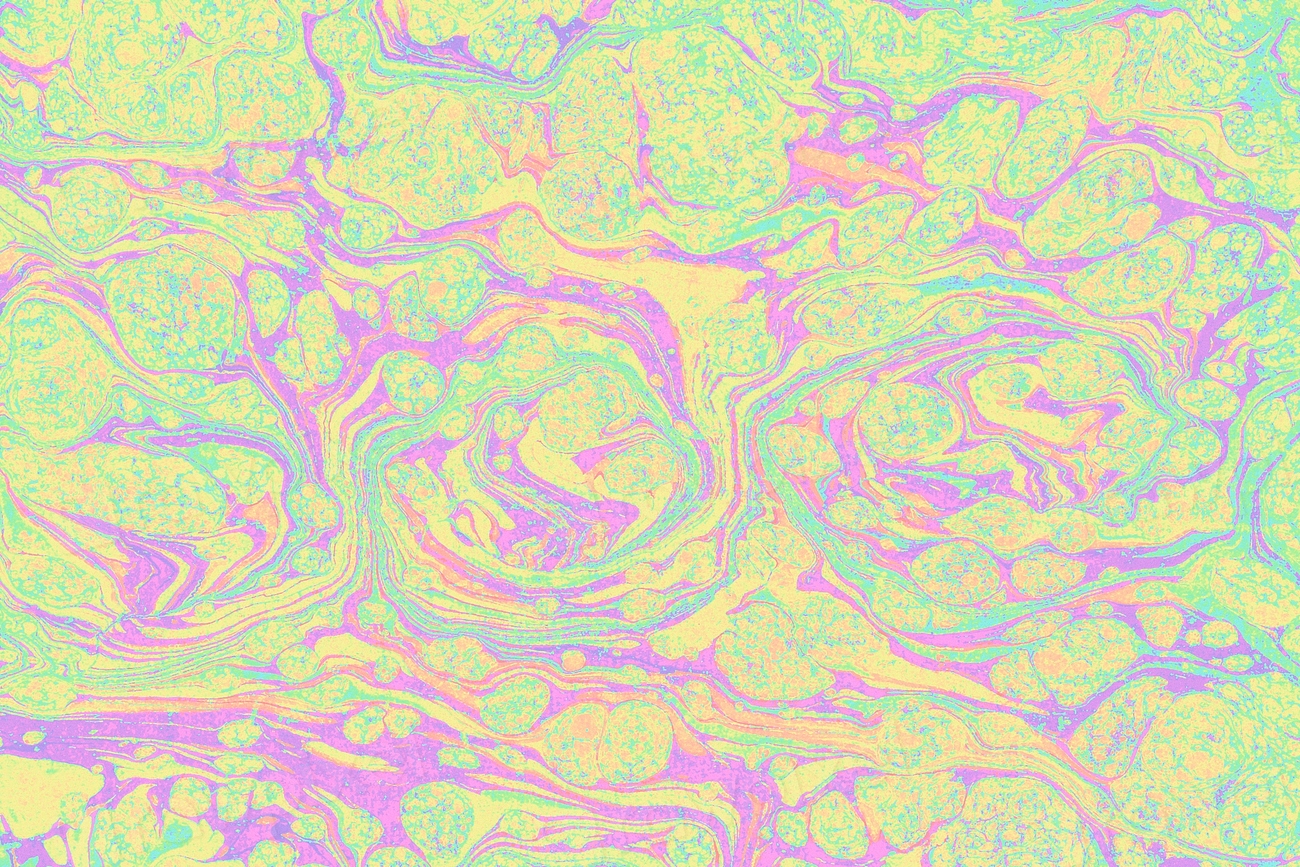 Colorful neon fluid patterned background | Free Photo - rawpixel