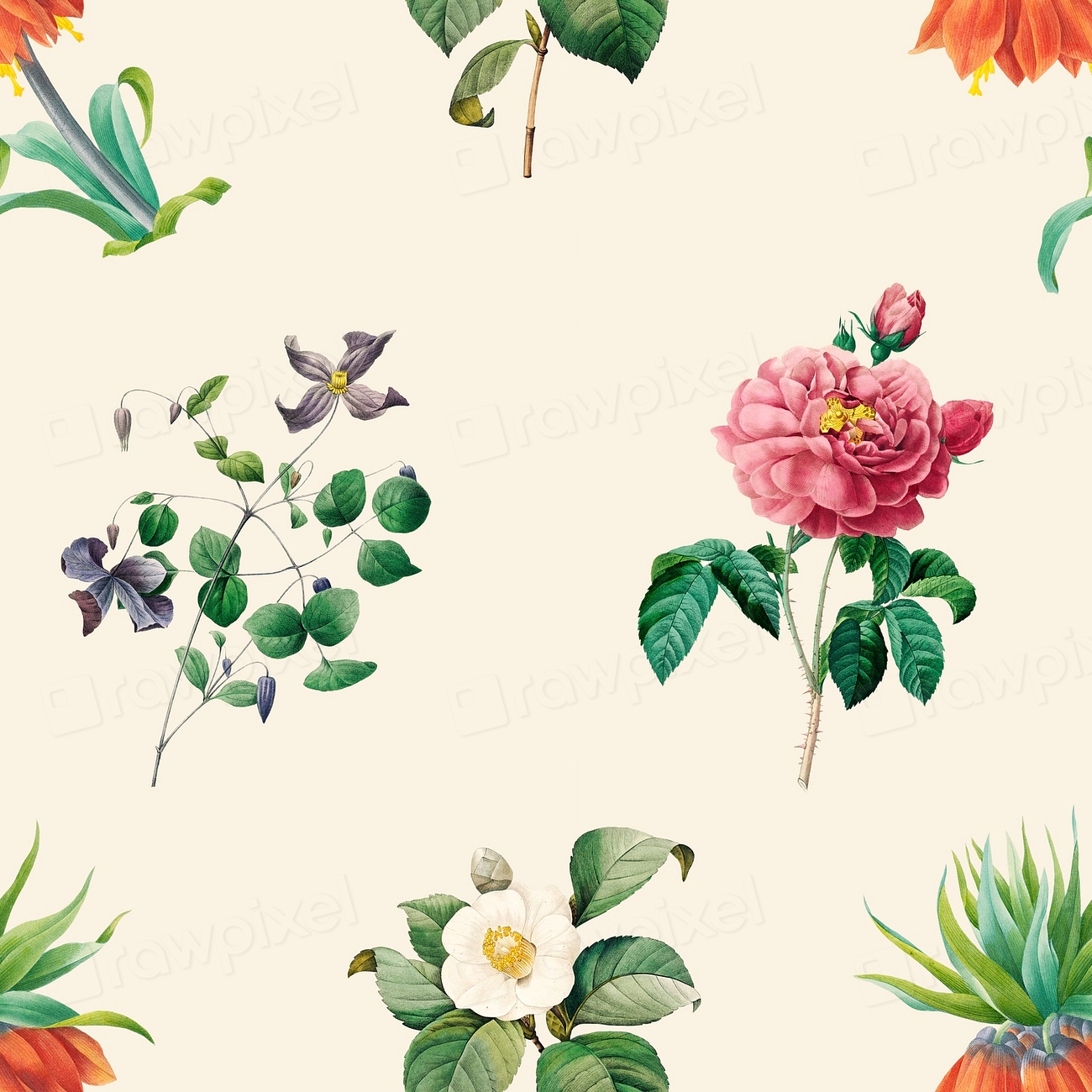 Hand drawn floral wallpaper illustration | Premium PSD - rawpixel