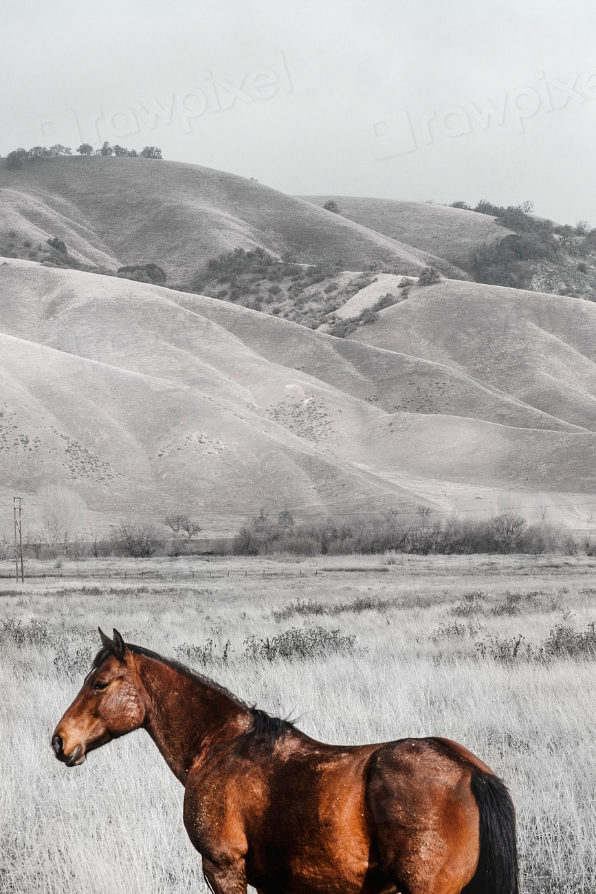 Trees ranch along Interstate 5 | Free Photo - rawpixel