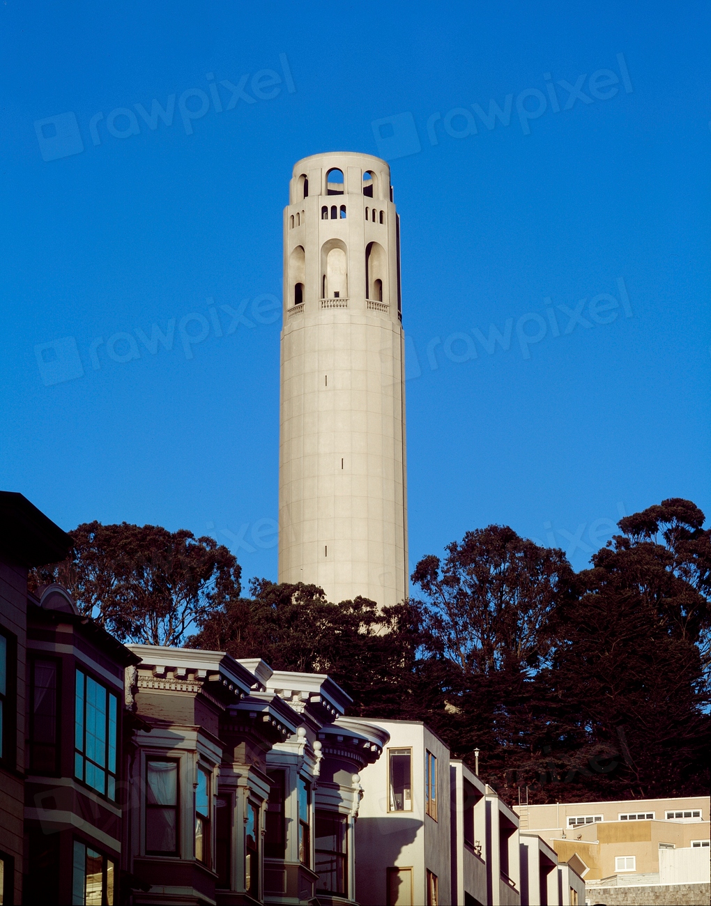 A detail of Coit Tower. | Free Photo - rawpixel