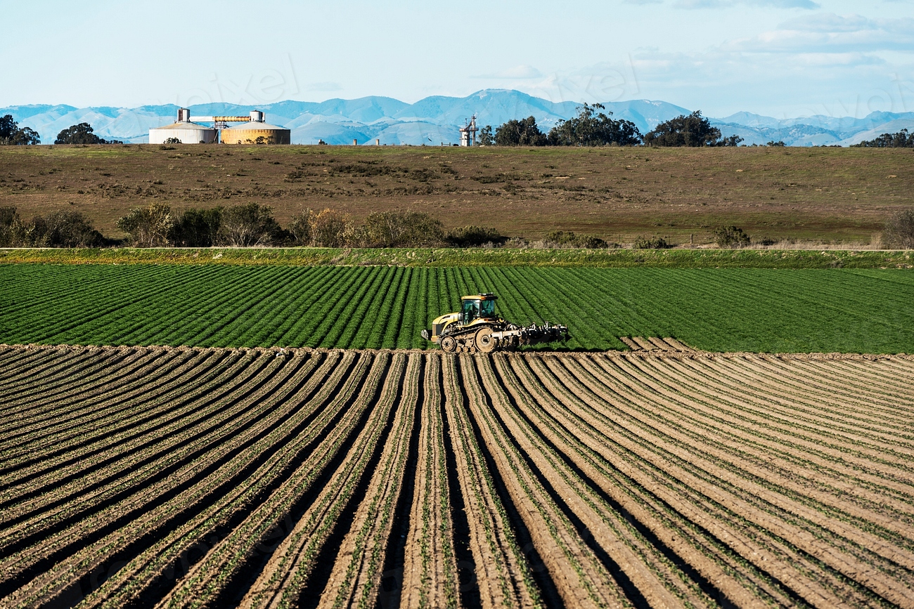 Crop rows San Luis Obispo | Free Photo - rawpixel