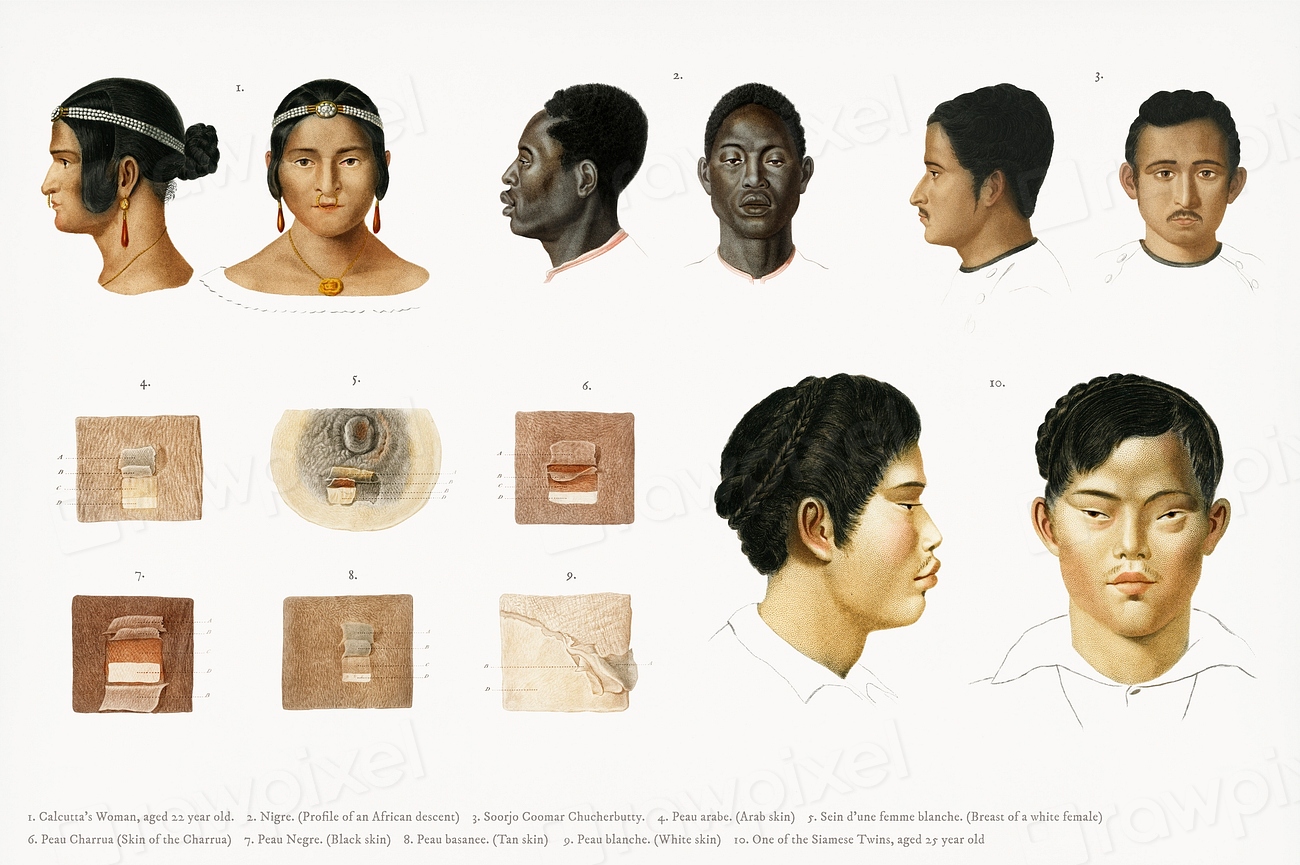 Human race illustrated Charles Dessalines | Premium PSD - rawpixel