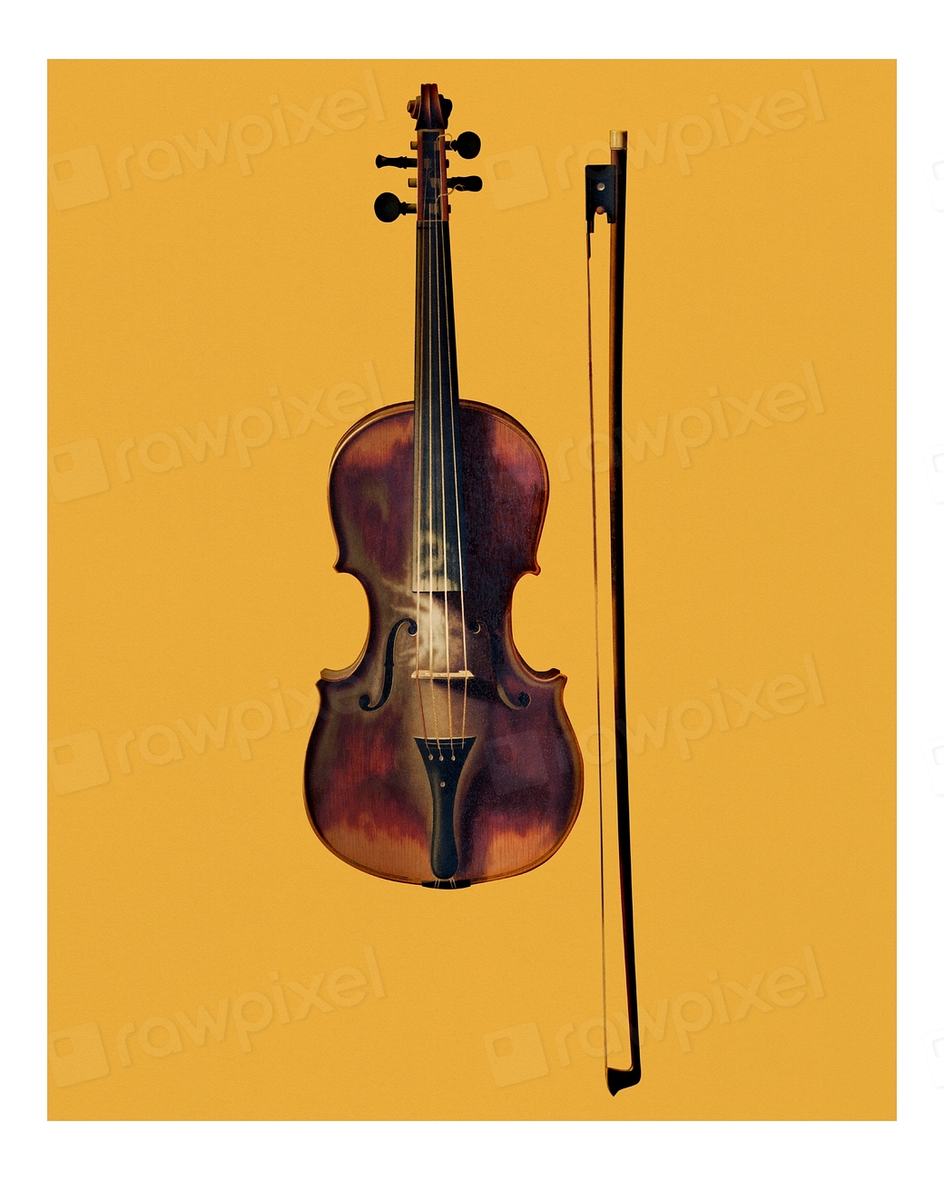 Vintage Still Life Violin illustration | Premium Photo - rawpixel