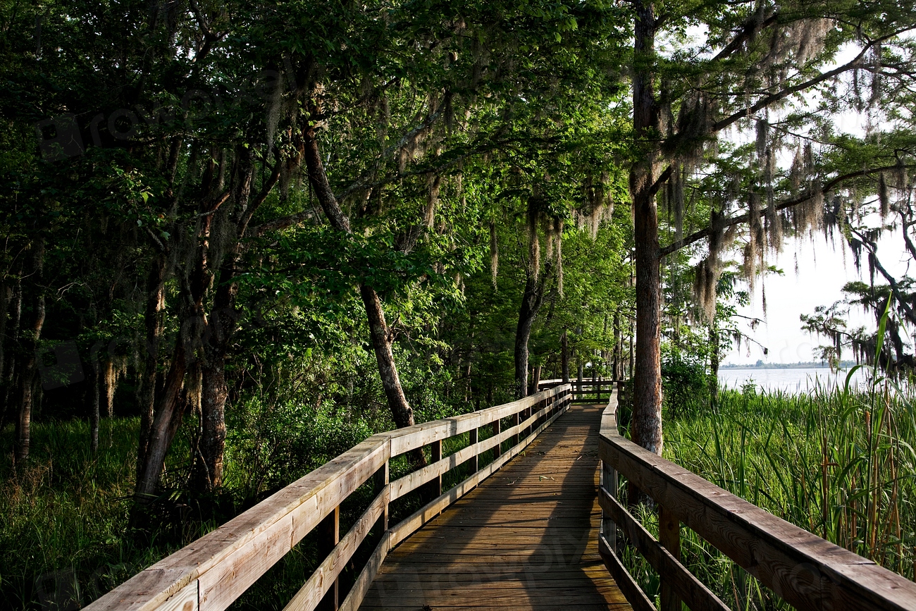 Historic Blakeley State Park located | Free Photo - rawpixel
