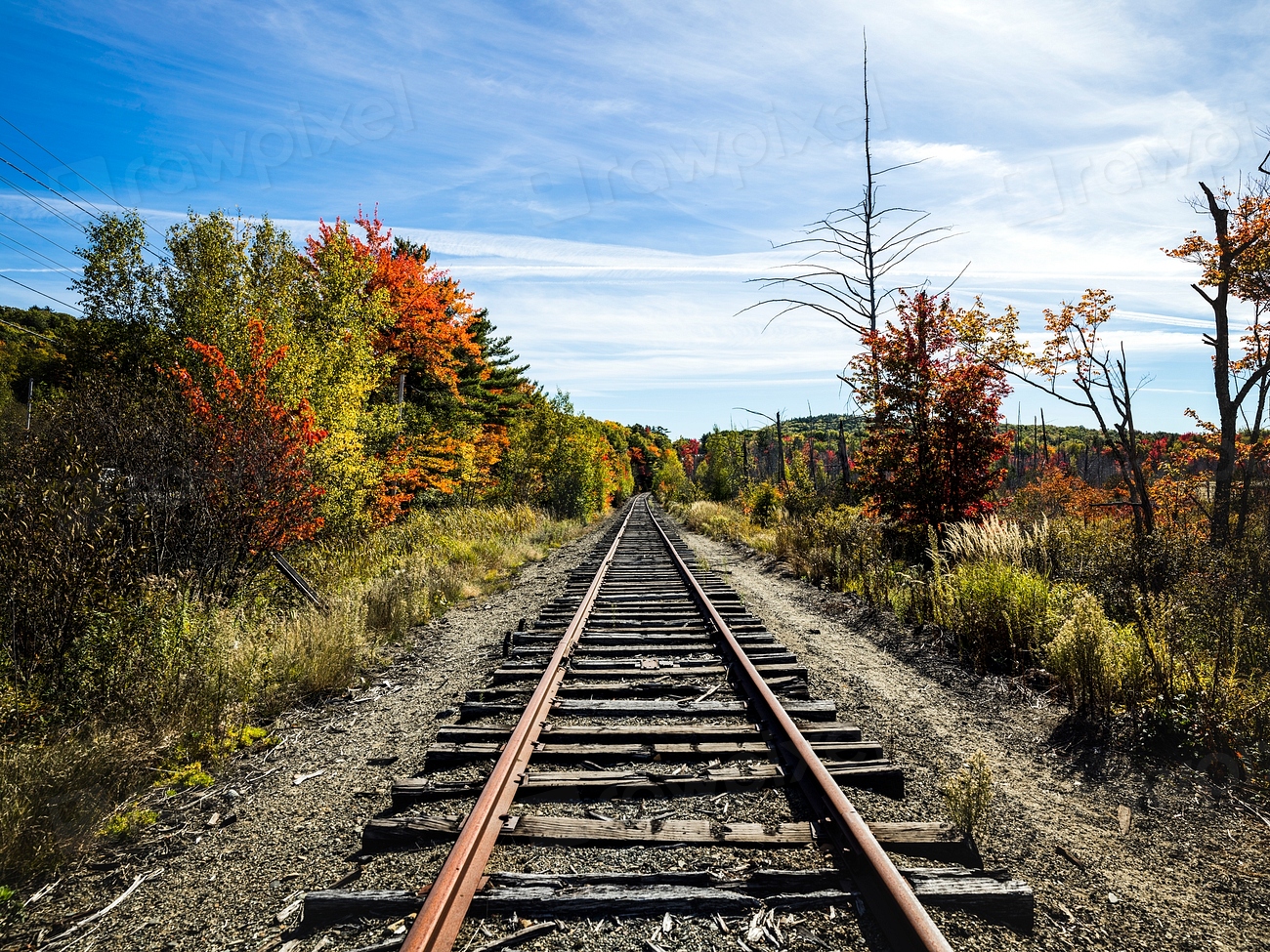 Fall along railroad tracks Bangor, | Free Photo - rawpixel