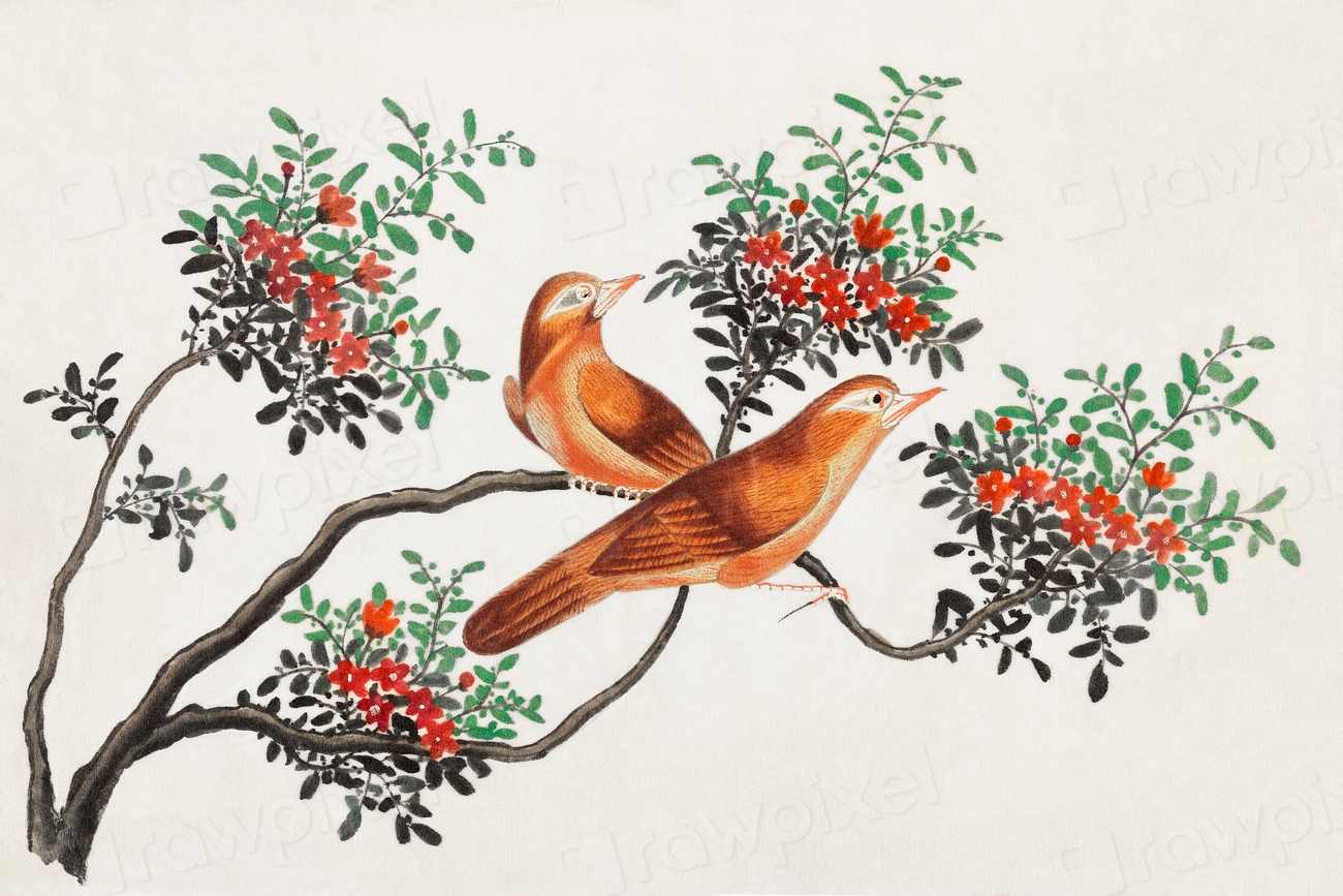 Chinese painting featuring birds China | Free Photo Illustration - rawpixel