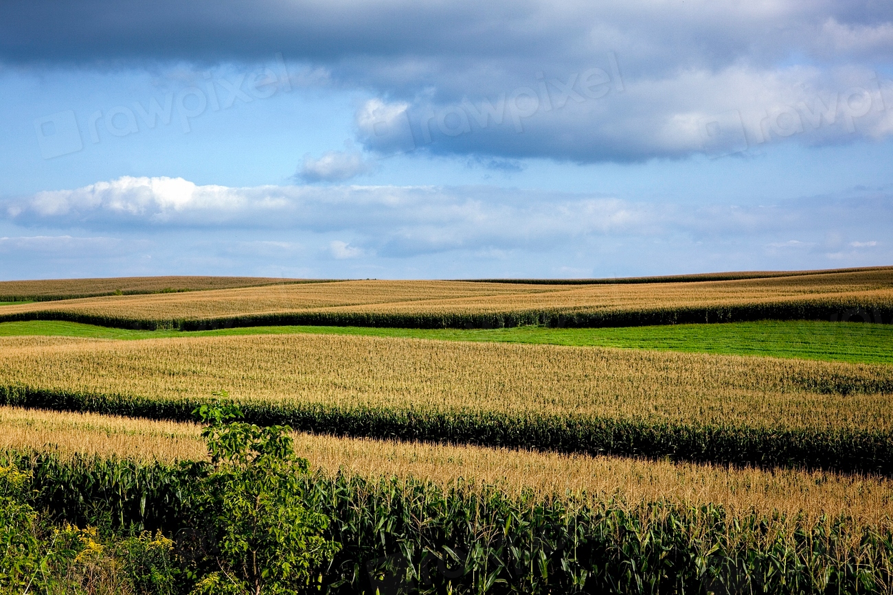 Rural Wisconsin. Original image Carol | Free Photo - rawpixel