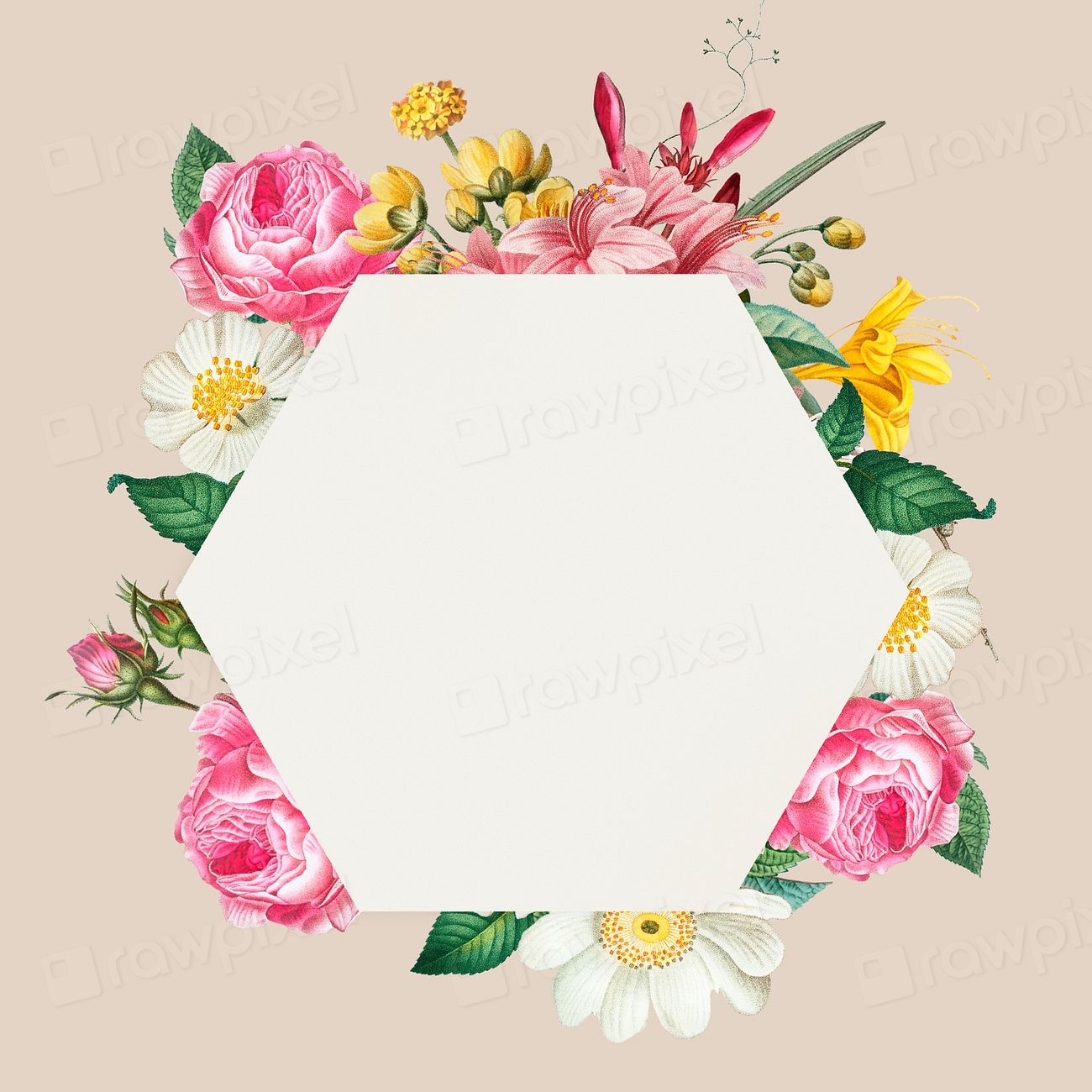 Vintage botanical frame design illustration | Premium PSD - rawpixel