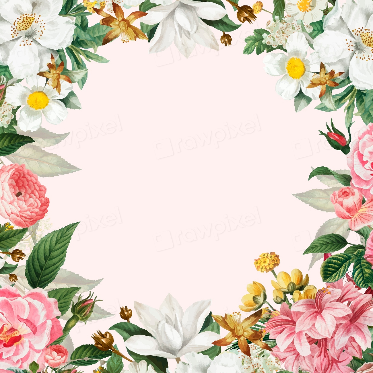 Vintage botanical frame design vector | Premium Vector - rawpixel