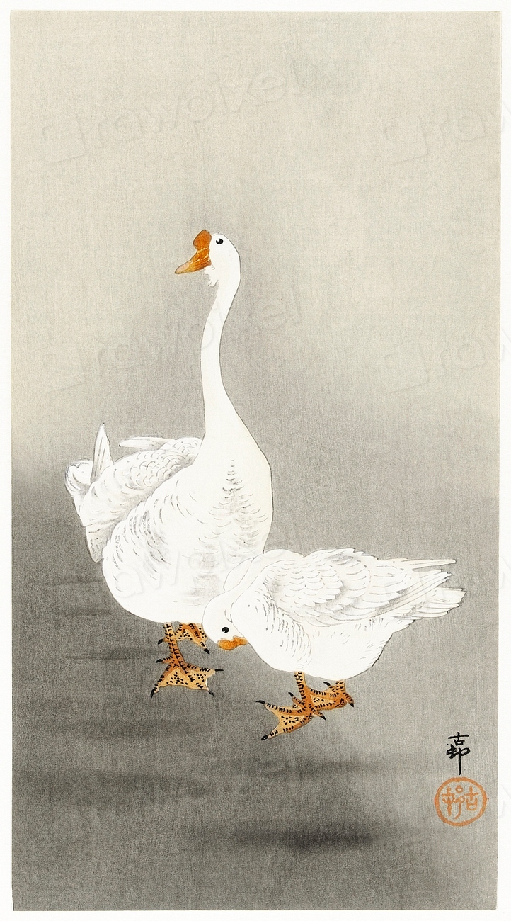 Two geese (1900 - 1930) | Free Photo Illustration - rawpixel