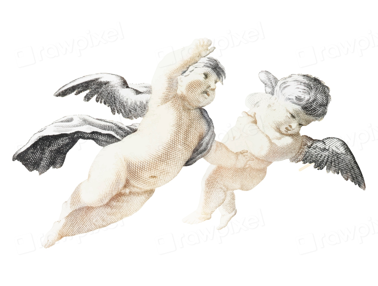 Vintage illustration Two flying Putti | Premium Vector Illustration ...