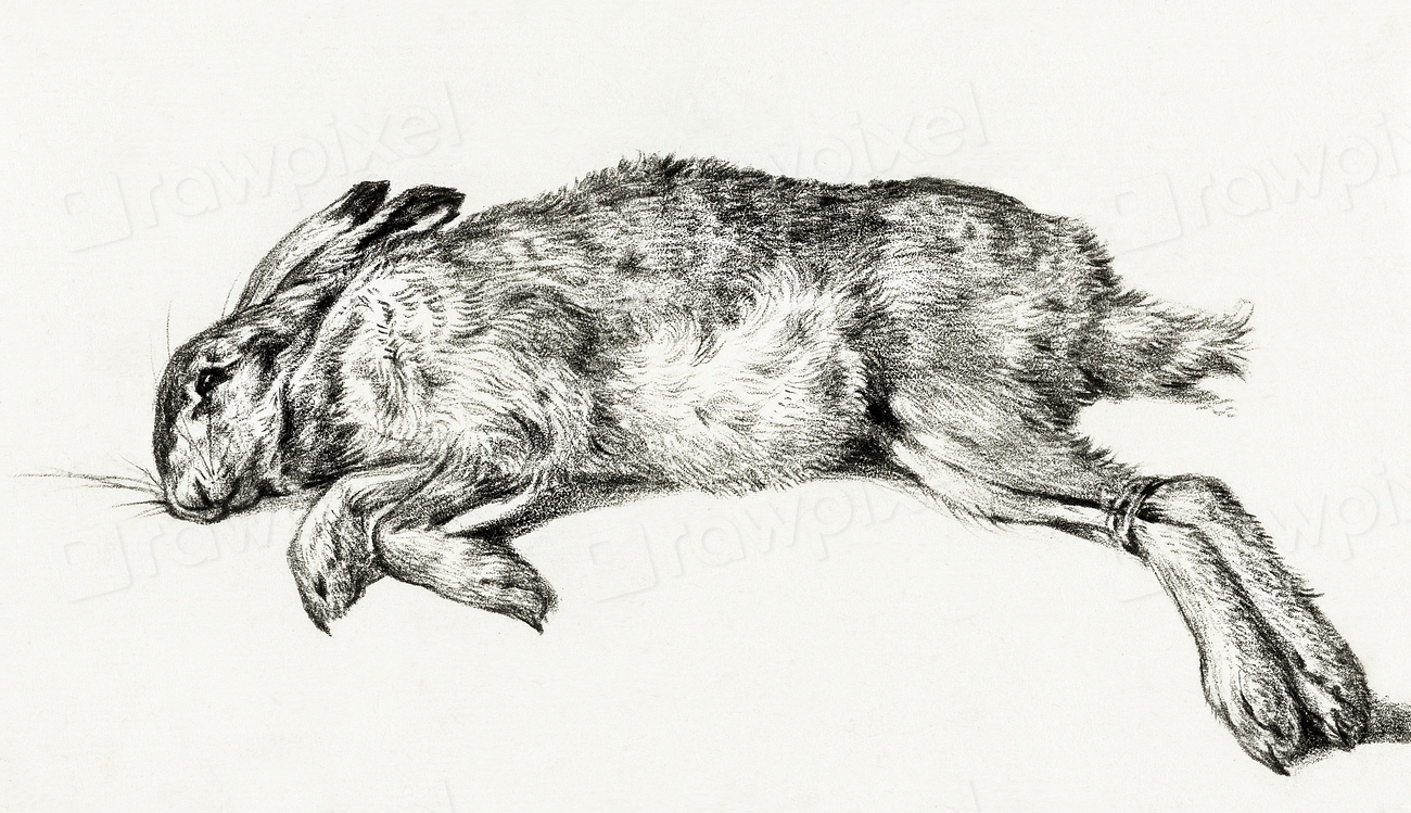 Dead hare (1818) Jean Bernard | Free Photo Illustration - rawpixel