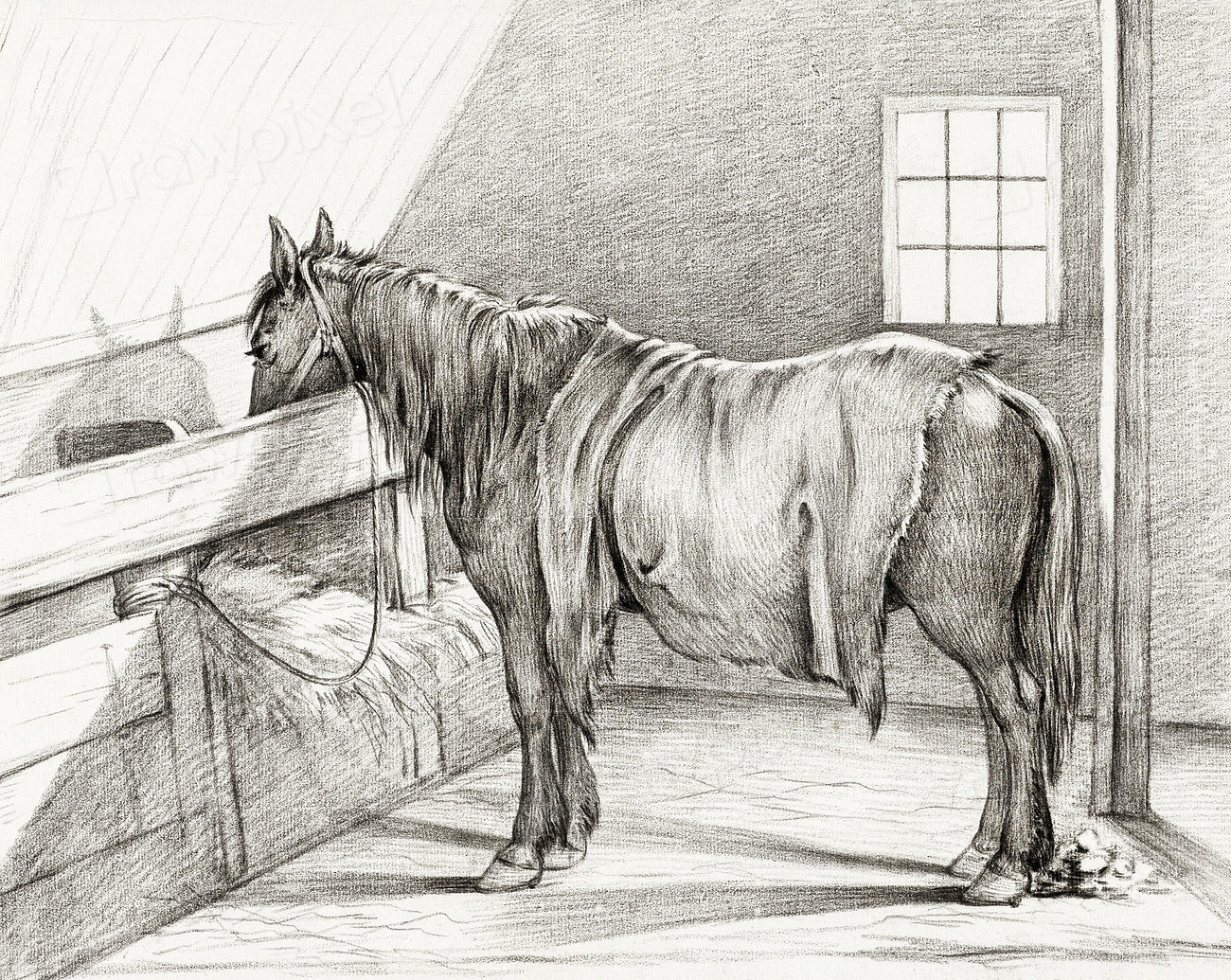 Standing horse in a stable | Free Photo Illustration - rawpixel