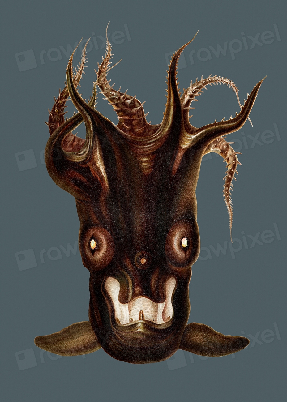 Vampire squid vintage illustration | Premium PSD Illustration - rawpixel