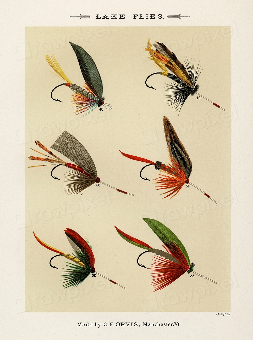 Lake Flies. Digitally enhanced | Free Photo Illustration - rawpixel