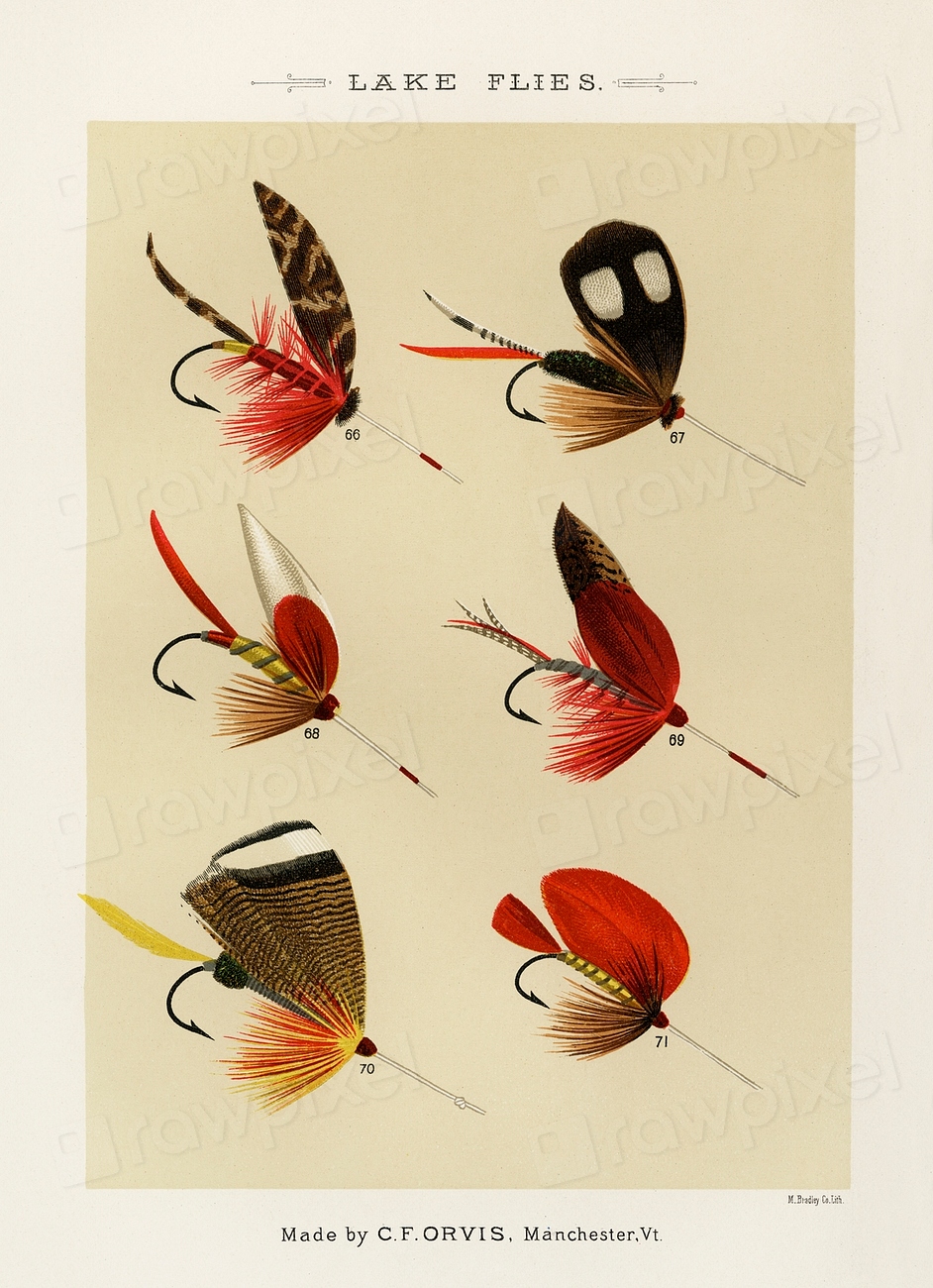 Lake Flies. Digitally enhanced our | Free Photo Illustration - rawpixel