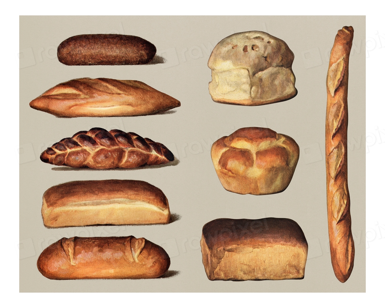 Vintage bread illustration wall art | Premium Photo - rawpixel