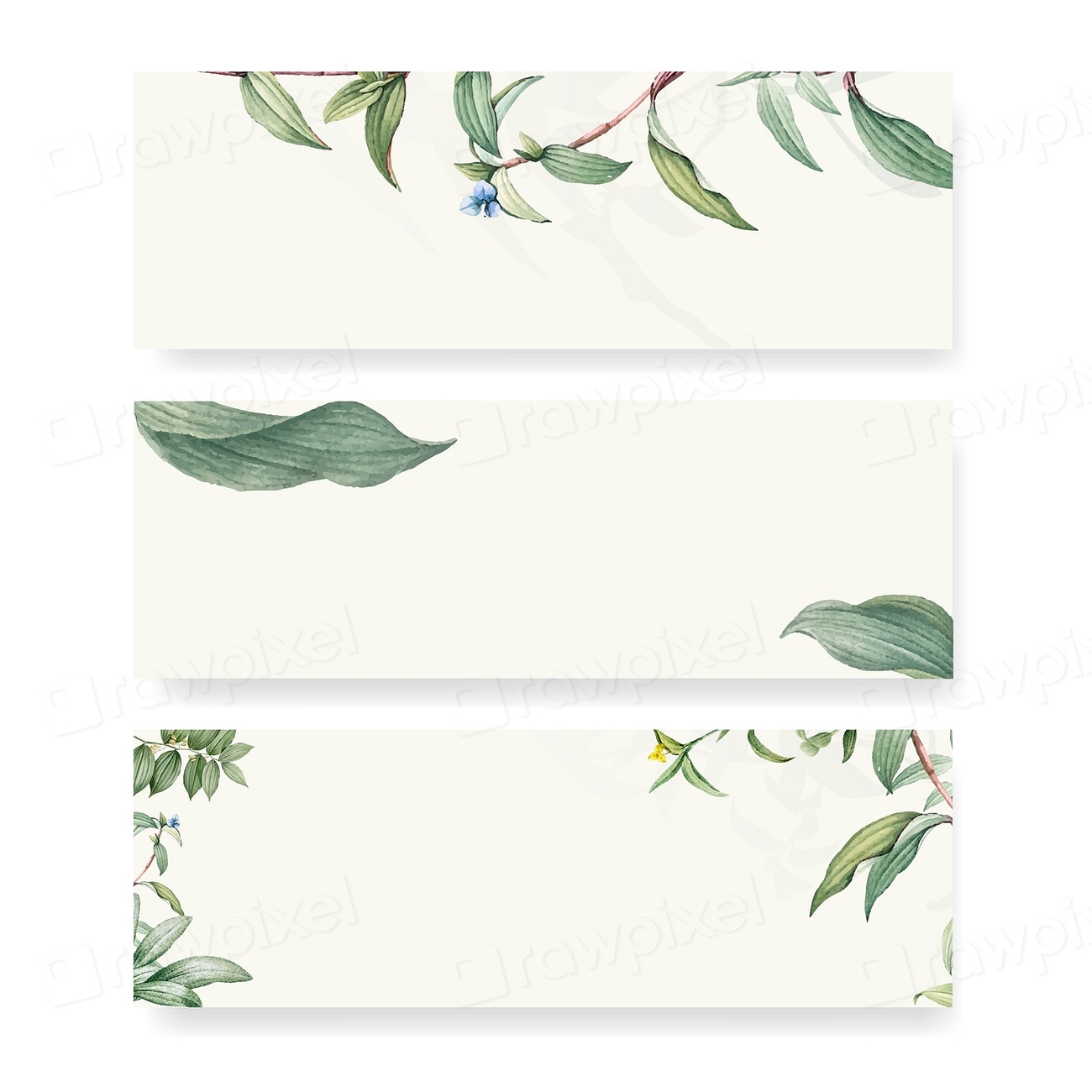Set of botanical background designs | Premium PSD - rawpixel