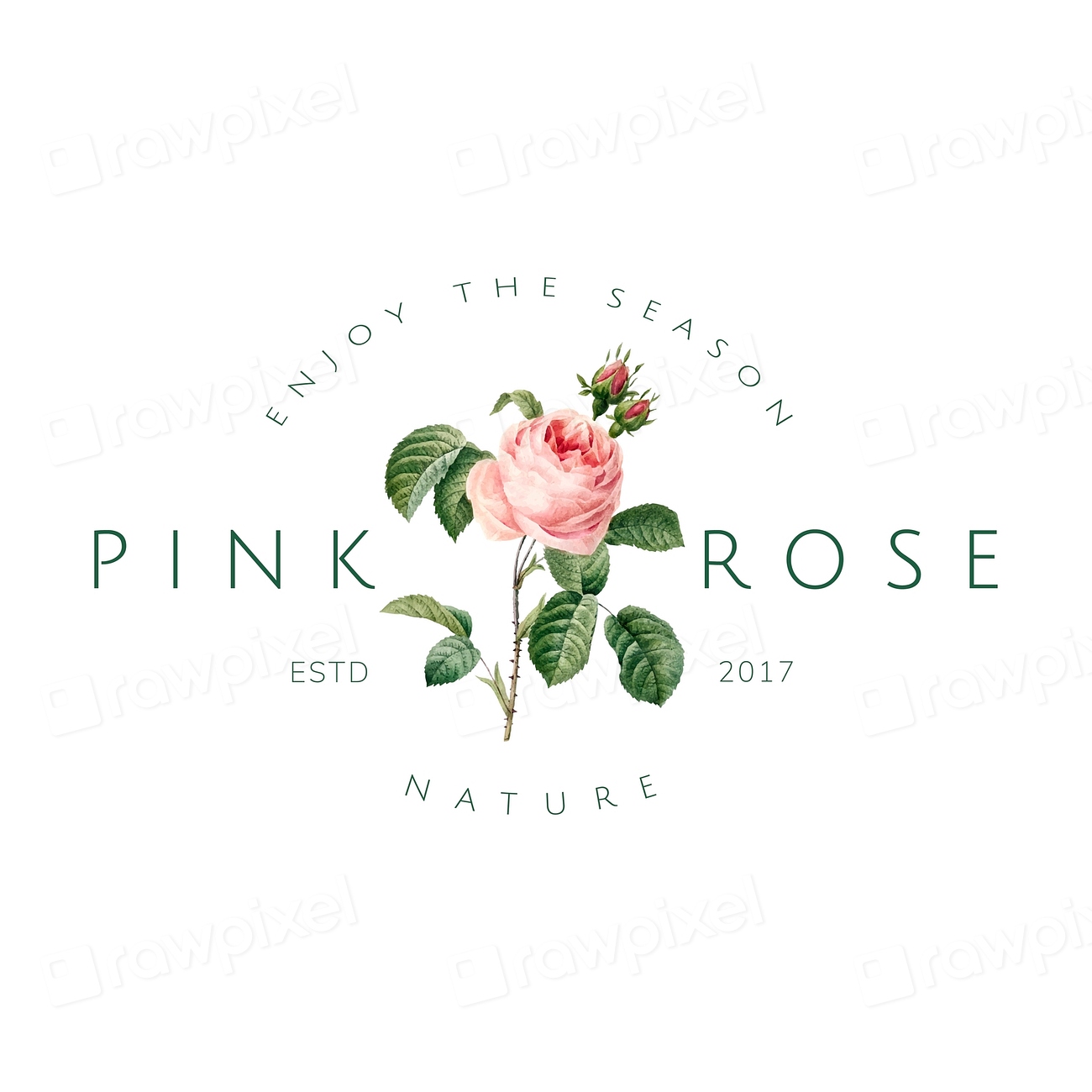 Hand drawn pink rose emblem | Free Vector - rawpixel