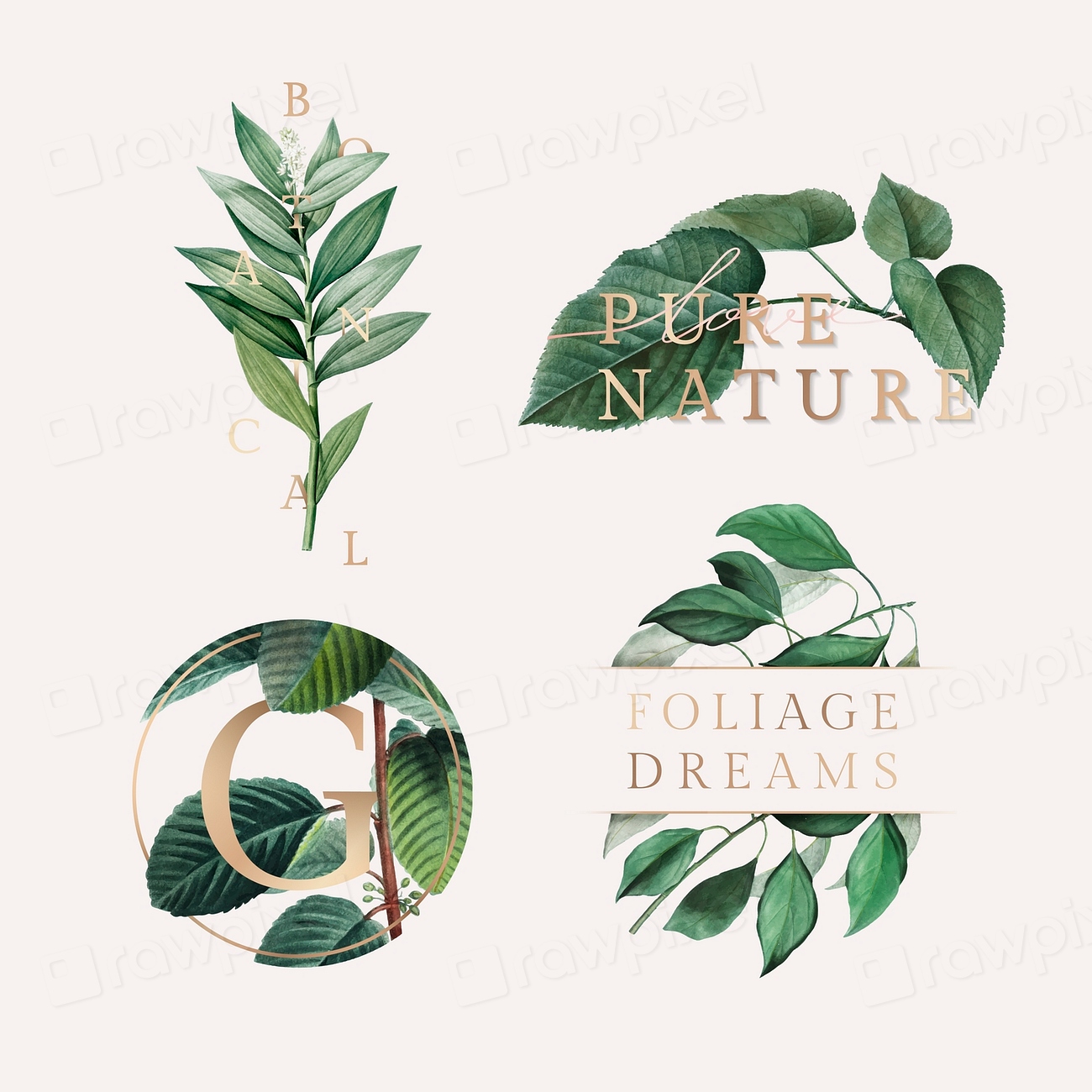 Tropical botanic logo collection vector | Premium Vector - rawpixel