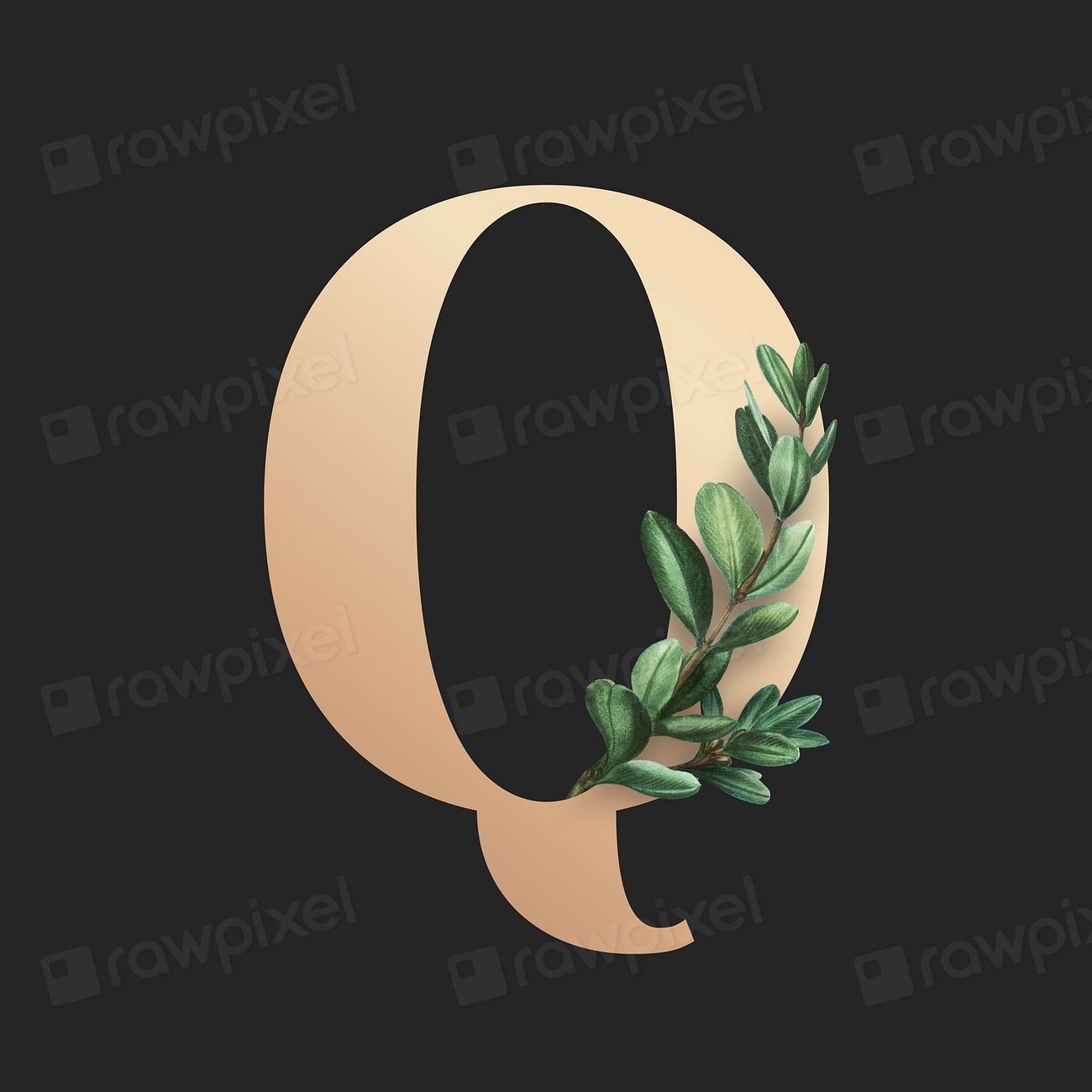 Botanical capital letter Q illustration | Premium PSD - rawpixel