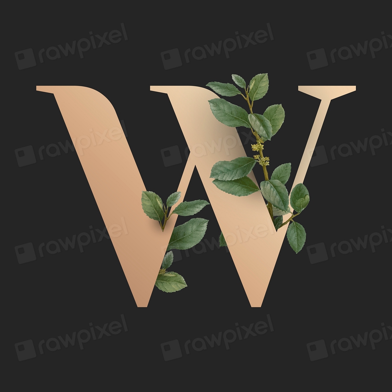 Botanical capital letter W vector | Premium Vector - rawpixel