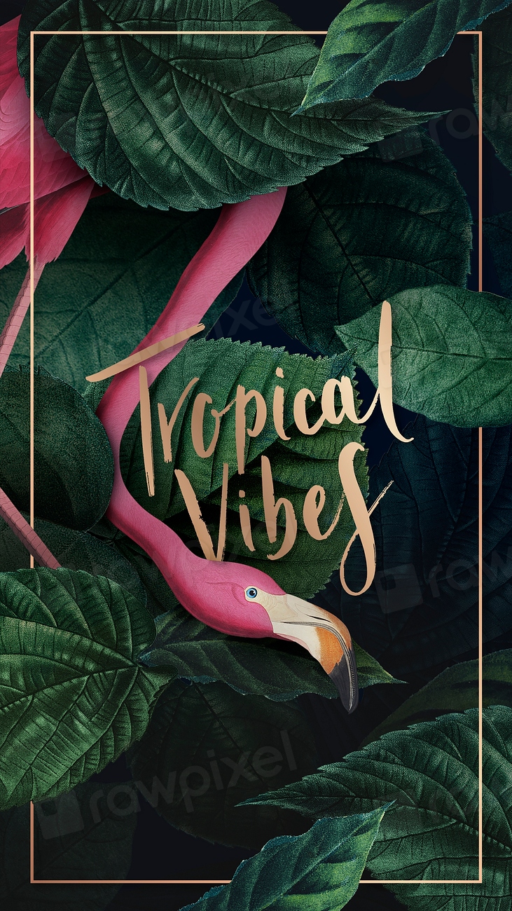 Tropical flamingo golden frame illustration | Premium PSD - rawpixel
