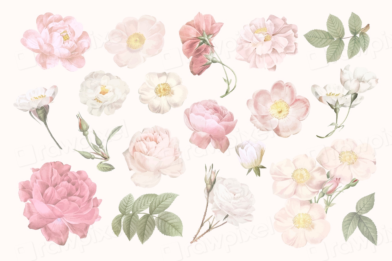 Elegant floral design collection vector | Premium Vector - rawpixel